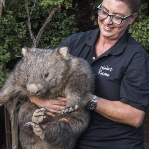 Burrows of Hope: Wombat Sanctuary Fund - DonationCentral.org